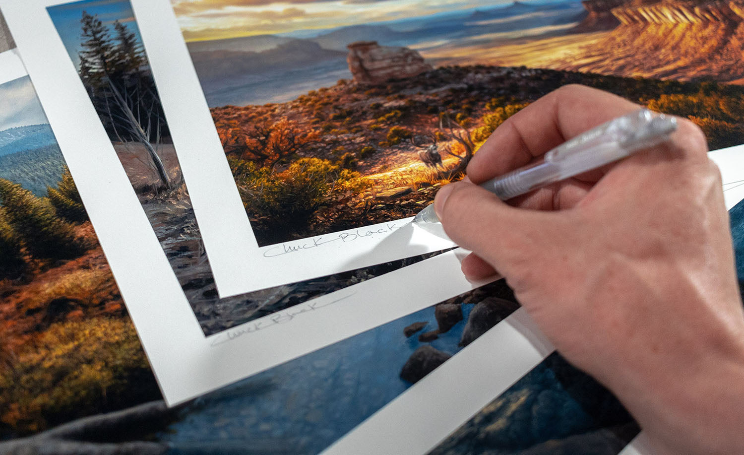 Shop Wildlife Art and Landscape Prints by Chuck Black – Chuck Black Art