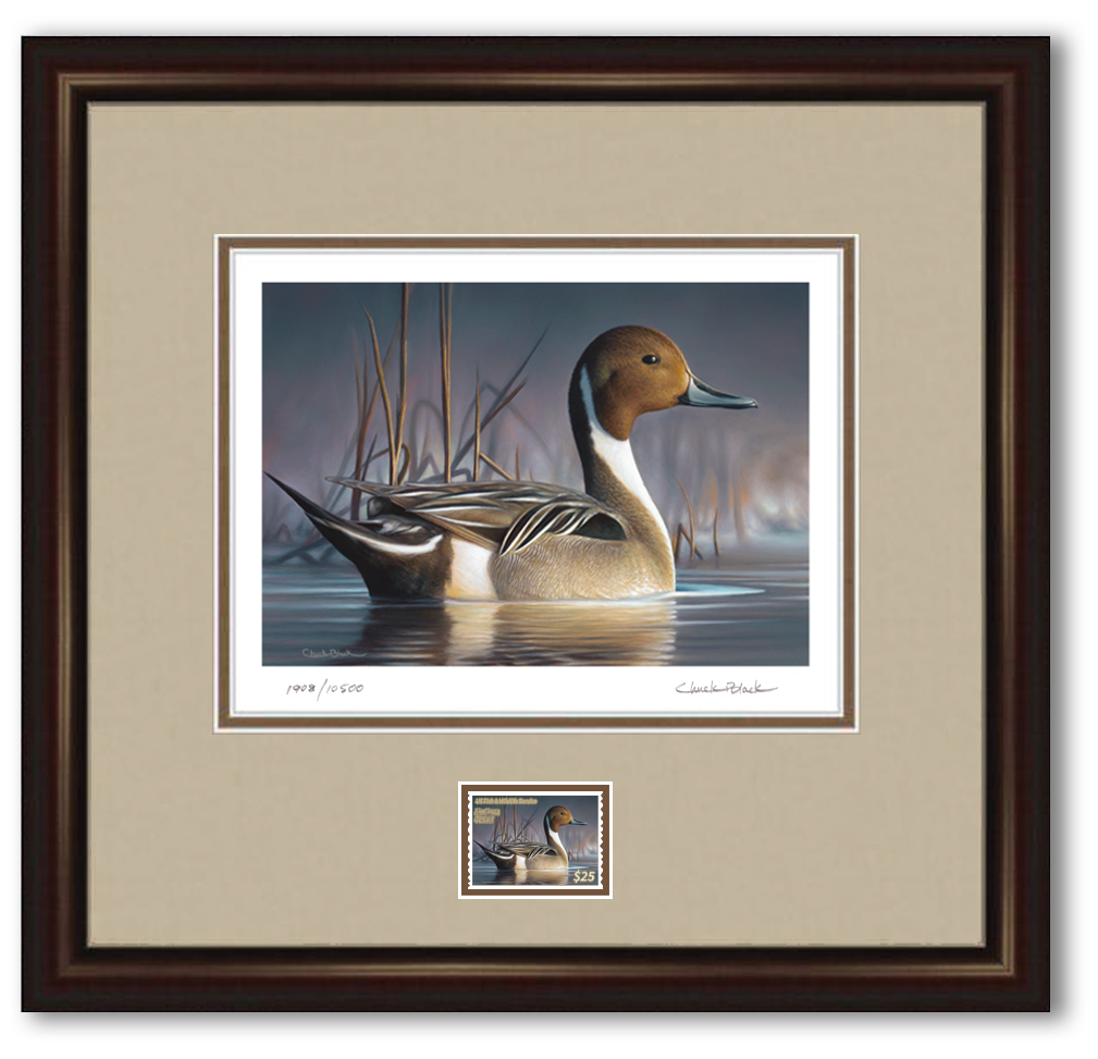 Pintail Painting