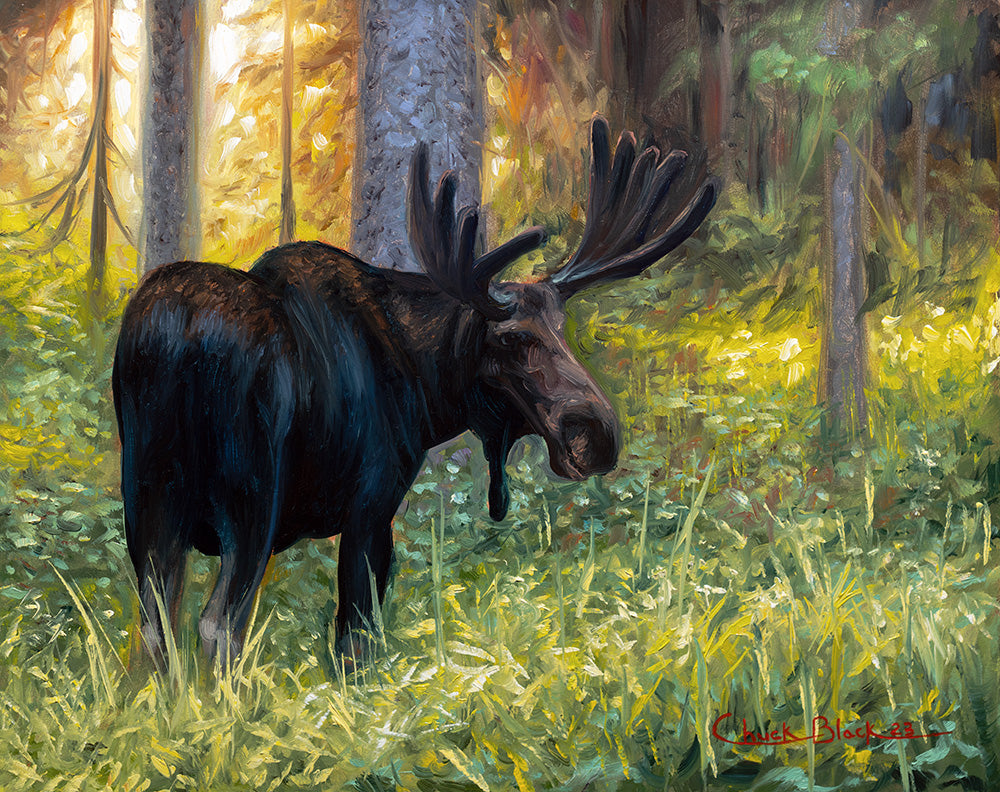 "Almost Time" 8x10 Original In Studio Oil Painting – Chuck Black Art