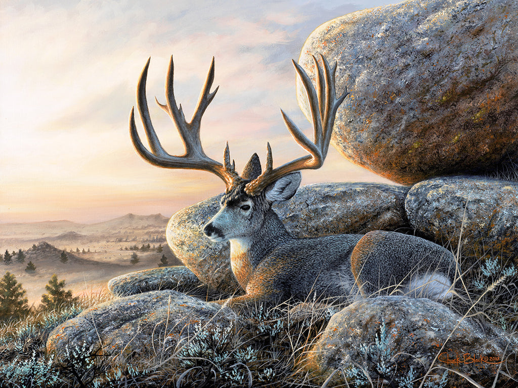 Original Mule Deer Buck Painting - "The Lawmaker" 18x24 – Chuck Black Art
