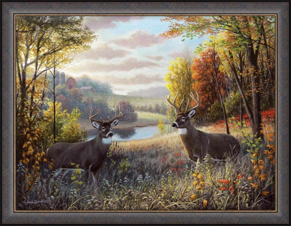 "October Bliss" - Framed Whitetail Deer Art Print – Chuck Black Art