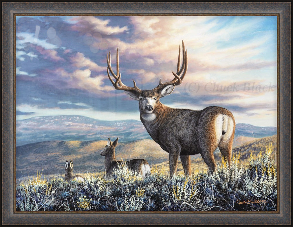"The Inspiration" - Framed Mule Deer Buck Art Print – Chuck Black Art