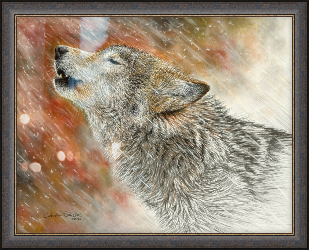 "Winter's First Call" - Framed Howling Wolf Art Print – Chuck Black Art