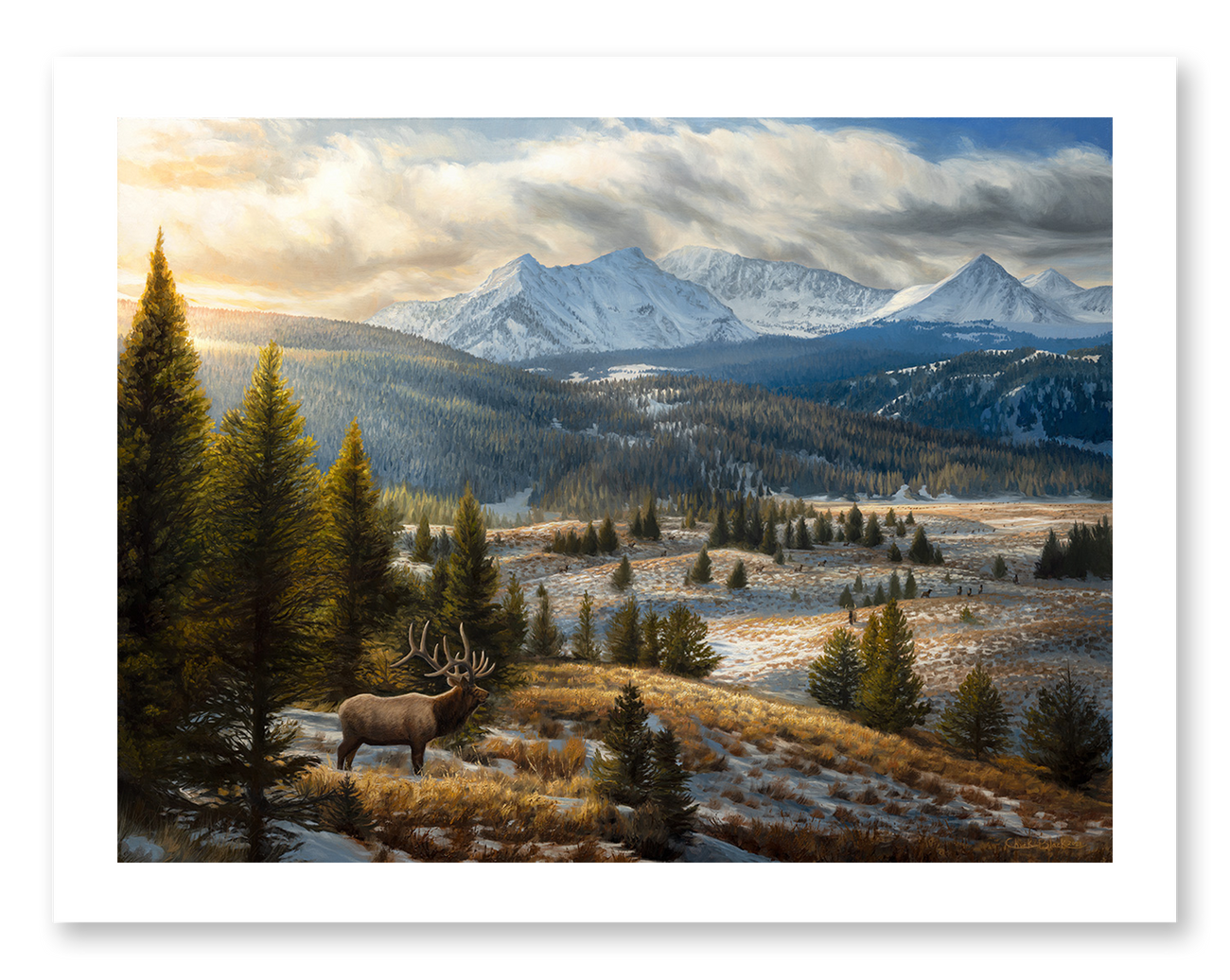 Shop Wildlife Art and Landscape Prints by Chuck Black – Chuck Black Art