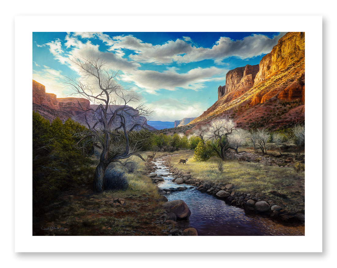 Shop Wildlife Art and Landscape Prints by Chuck Black – Chuck Black Art