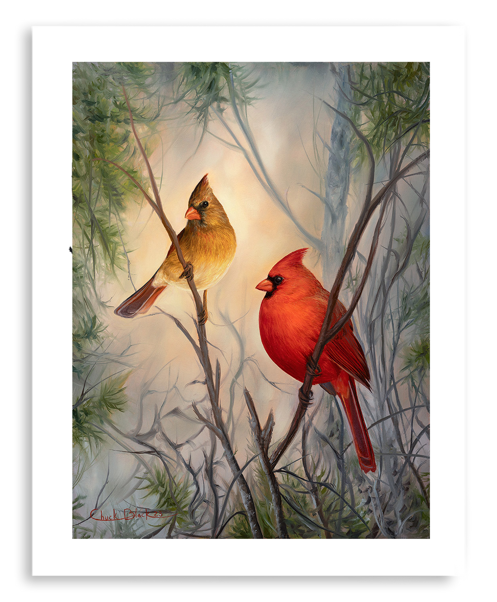 "The Perfect Pair" - Northern Cardinals Bird Art Print – Chuck Black Art