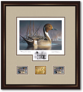 Federal Duck Stamp Art Prints – Chuck Black Art