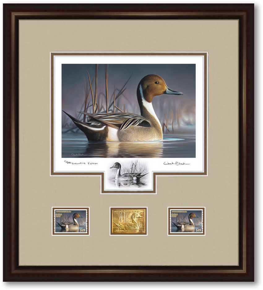 Federal Duck Stamp Art Prints – Chuck Black Art