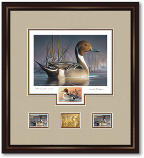 Federal Duck Stamp Art Prints – Chuck Black Art