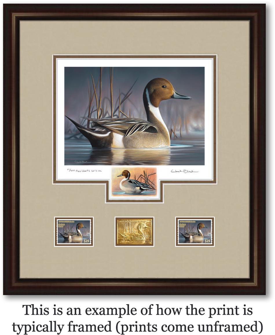 Federal Duck Stamp Art Print - President's Edition – Chuck Black Art