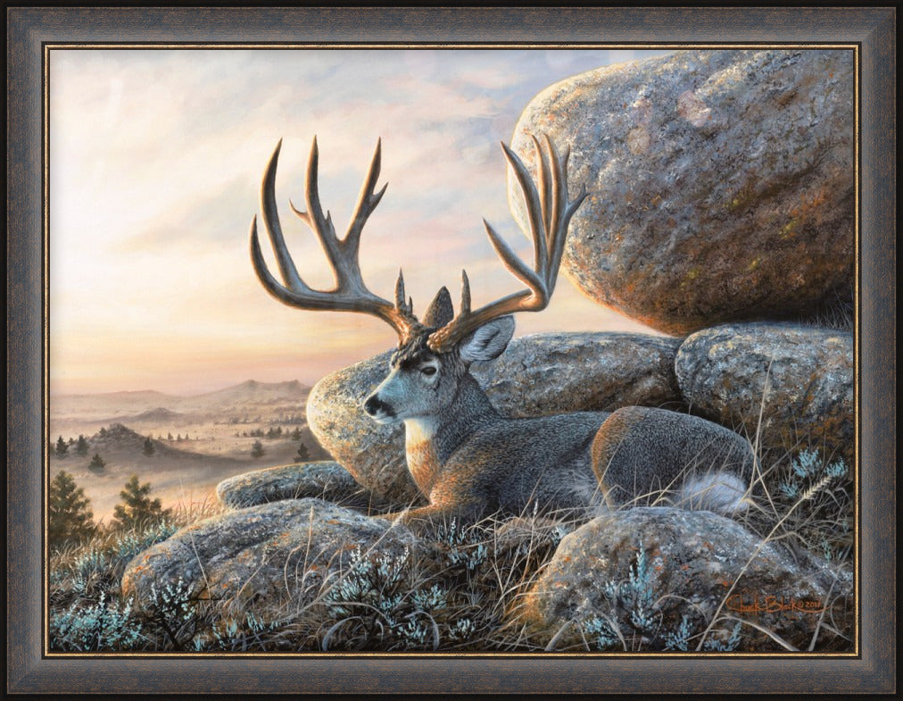"The Lawmaker" - Framed Mule Deer Art Print – Chuck Black Art