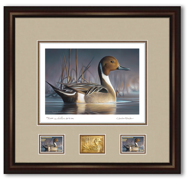 Federal Duck Stamp Art Prints – Chuck Black Art