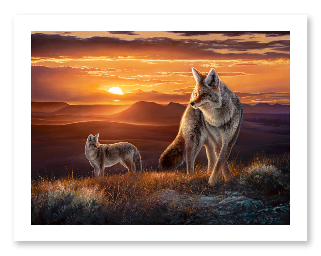 "The Setting Sun" - Coyotes on the Prairie Art Print – Chuck Black Art