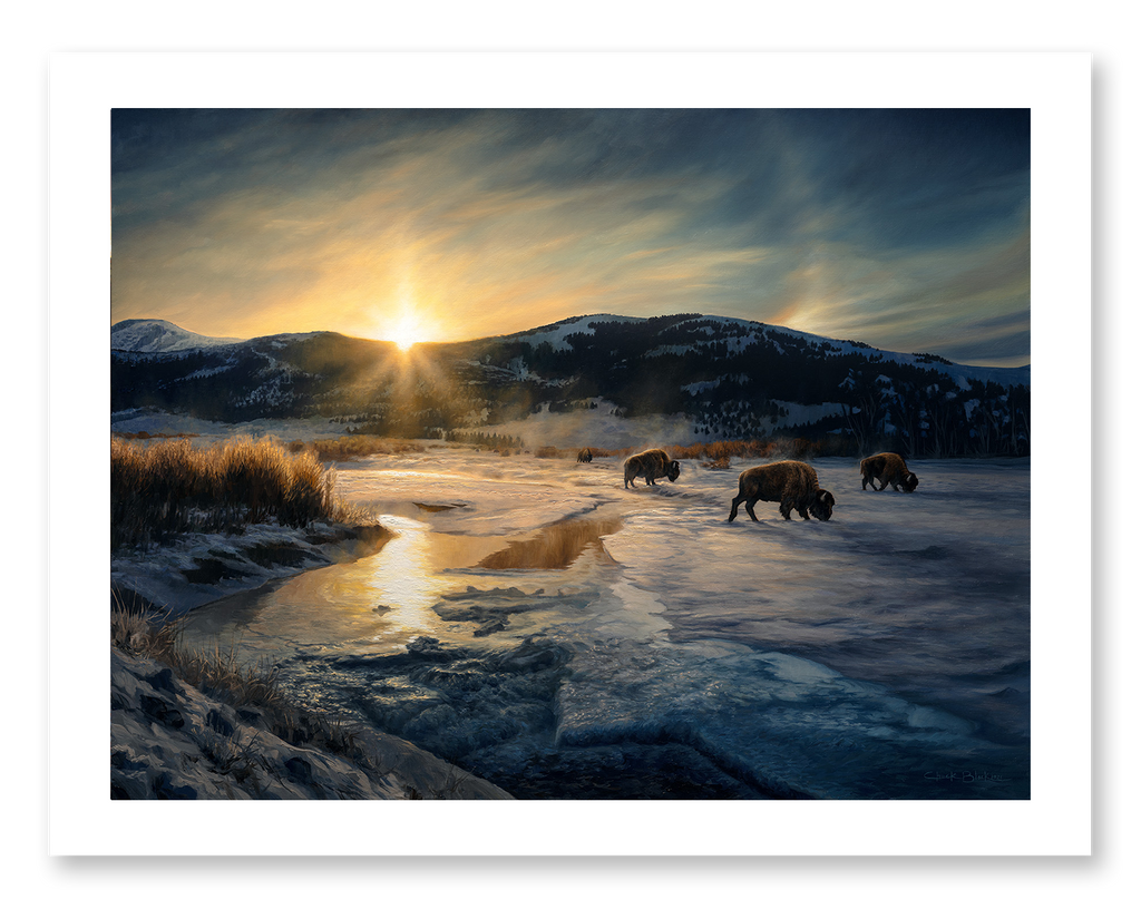"Sundog Days" - Bison Sunrise Art Print – Chuck Black Art