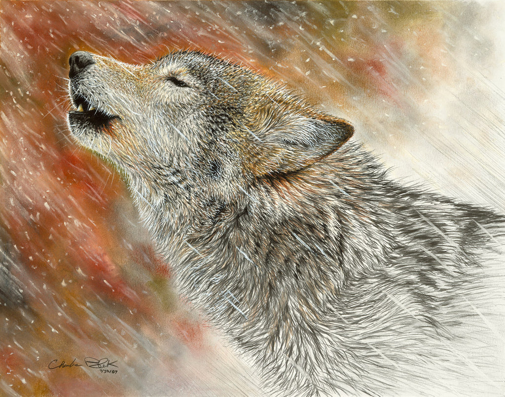 Original Howling Wolf Painting - "Winter's First Call" 11x14 – Chuck ...