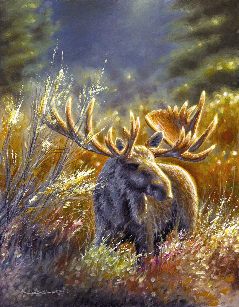 Original Wildlife Art | Moose Painting - "A King's Domain" 11x14 ...