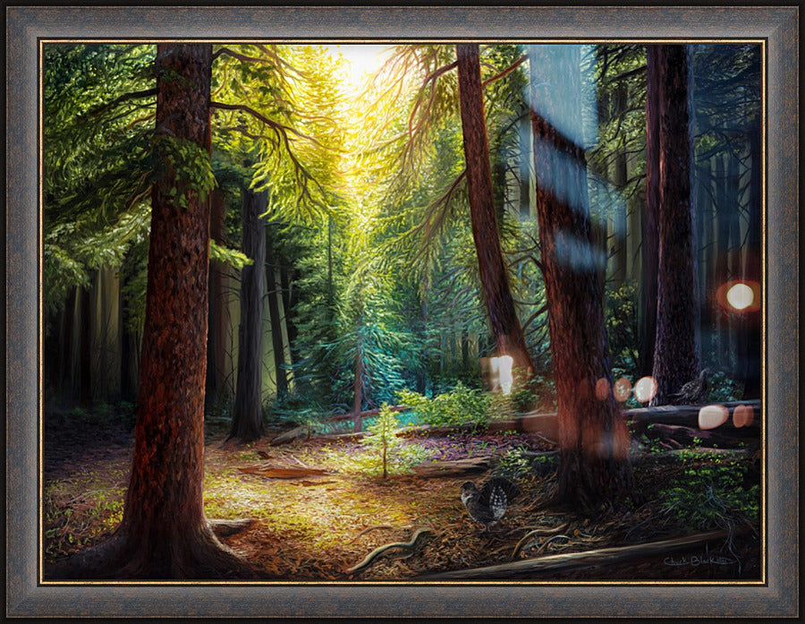 "Deep Within" - Framed Forest Landscape Art Print, Mountain Grouse ...