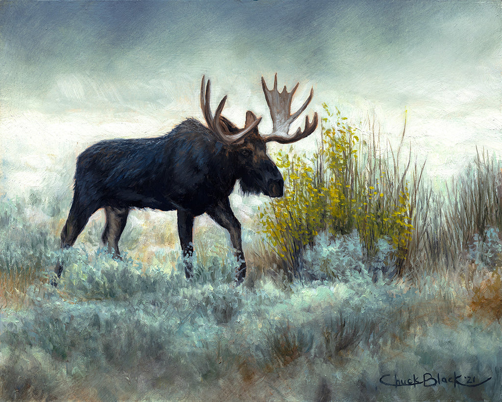 "Out Of The Fog" 8x10 Bull Moose Wildlife Painting – Chuck Black Art