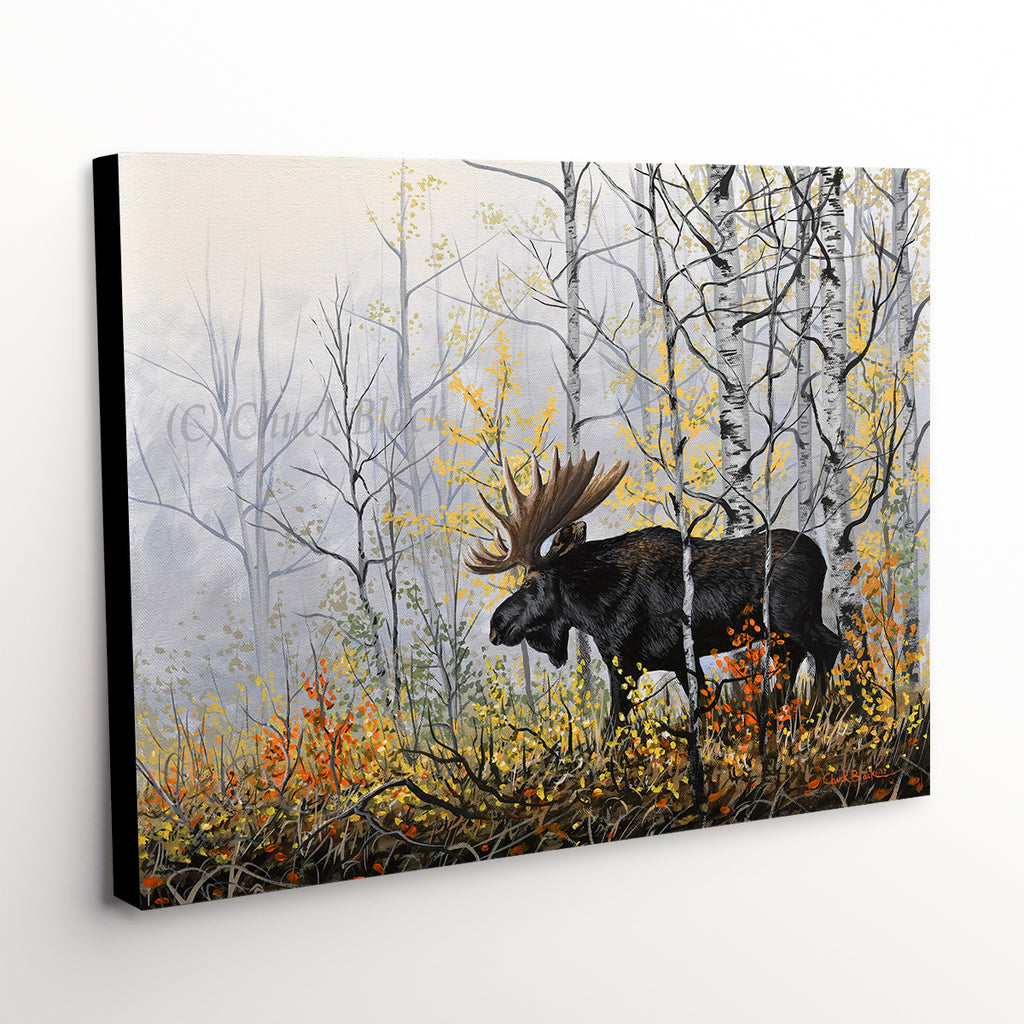 Bull Moose Canvas Wildlife Art Print - "Rare Moments" – Chuck Black Art